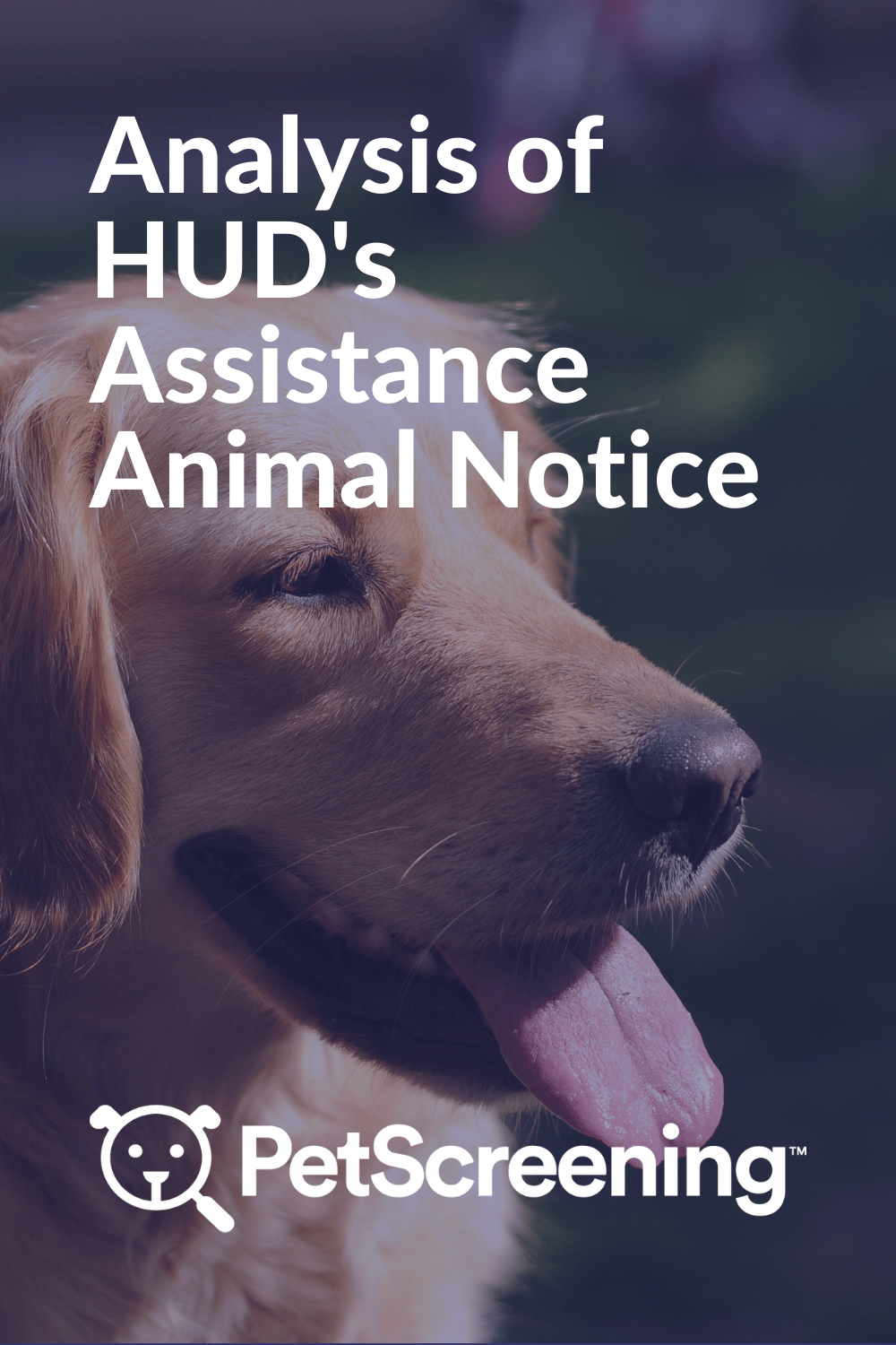 PetScreening’s Analysis of HUD’s New Assistance Animal Notice